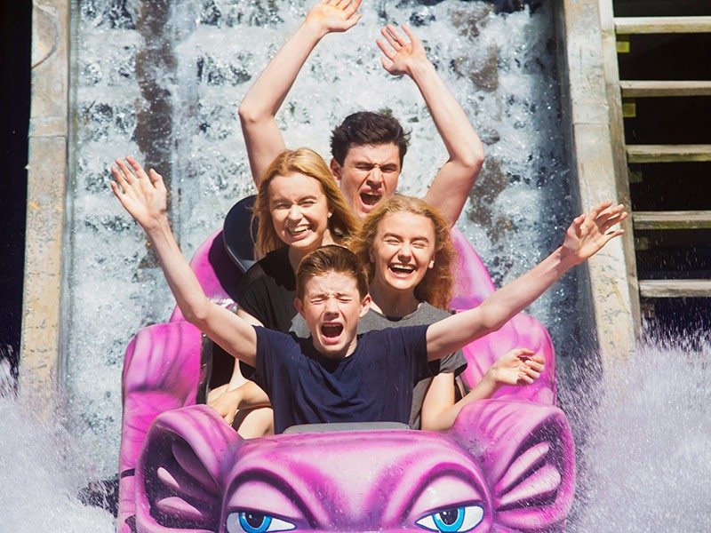 Vandrotten | BonBon-Land